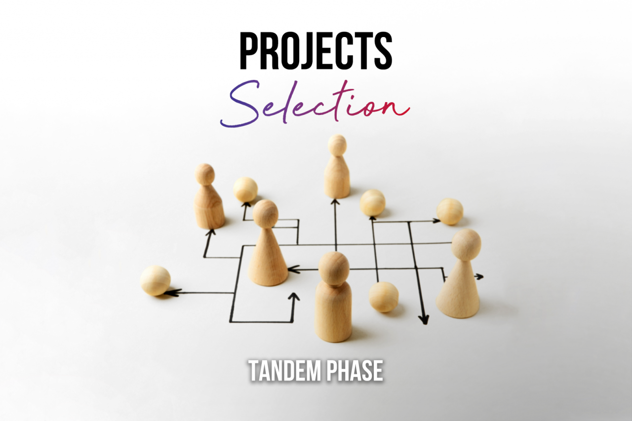 TANDEM PHASE – Projects Selection | R-Evolution Project